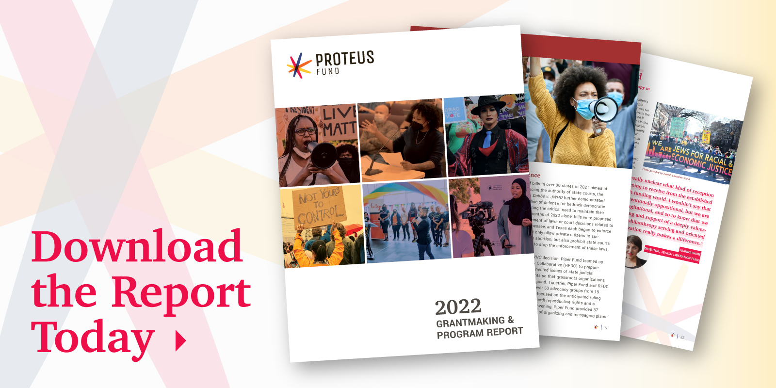 2022 Grantmaking & Program Report - Proteus Fund